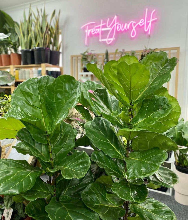 Pots Of Love – Pots Of Love Handmade